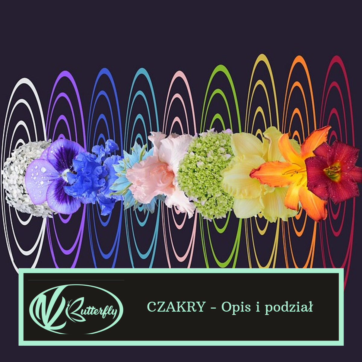 Czakry – opis i podział - Czy warto znać rodzaje czakr?